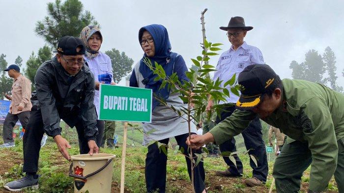Bupati Tegal Umi Azizah Tanam Pohon di Lereng Gunung Slamet, Tegaskan Hal Ini - Tribunjateng.com