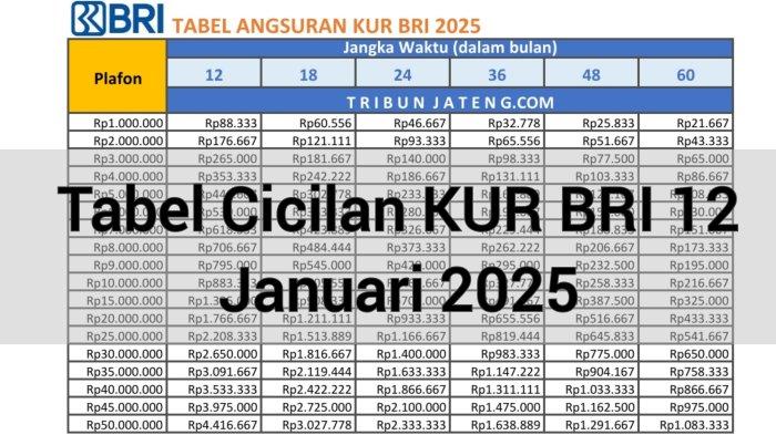 Cicilan KUR BRI 12 JAN 2025, Selengkapnya Bisa Akses di kur bri co id ...