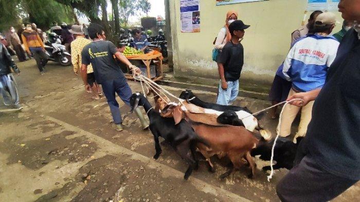 Kasus PMK Terus Meningkat, RPH Sokaraja Tidak Menerima Potong Hewan PMK ...