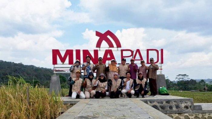 Dukung Pencapaian IP 400, Unsoed Terapkan Rekayasa Teknologi Minapadi ...
