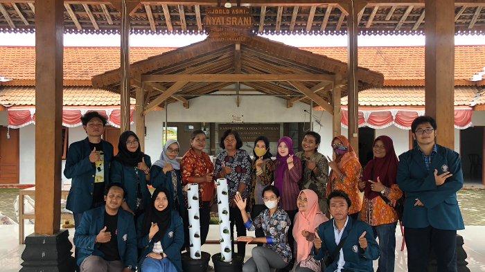 KKN Universitas Diponegoro 2023 Perkenalkan dan Beri Pelatihan Teknik Vertikultur di Desa ...
