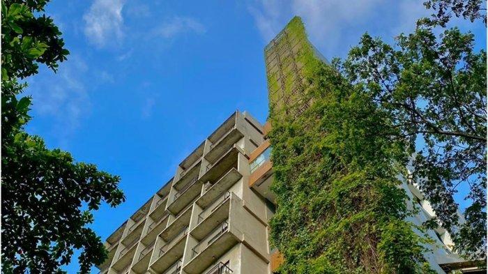 Oak Tree Emerald Hotel Semarang: Usung 'A Vibrant City Resort', Tamu ...