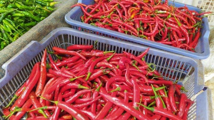 Harga Cabai Merah Tembus Rp 80 Ribu Perkilo di Pekalongan - Tribunjateng.com