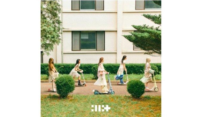 Lirik Lagu IYKYK If You Know You Know dari ILLIT, Lengkap dengan ...