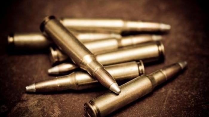 Warga Temukan Senjata Api dan Peluru saat Benahi Kolam Ikan ...