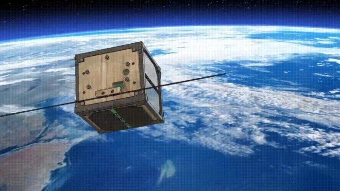 Jepang Terbangkan LignoSat Satelit Kayu Pertama di Dunia - Tribunjateng.com