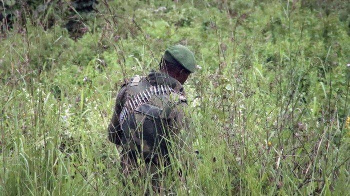 Milisi Kongo Serang Kamp Pengungsi, 46 Orang Dilaporkan Tewas Ditembak ...