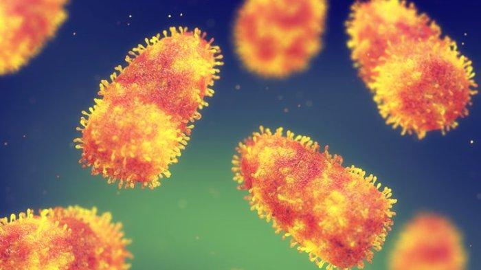 Viral Pakai Deterjen untuk Pertolongan Pertama Digigit Hewan Rabies ...