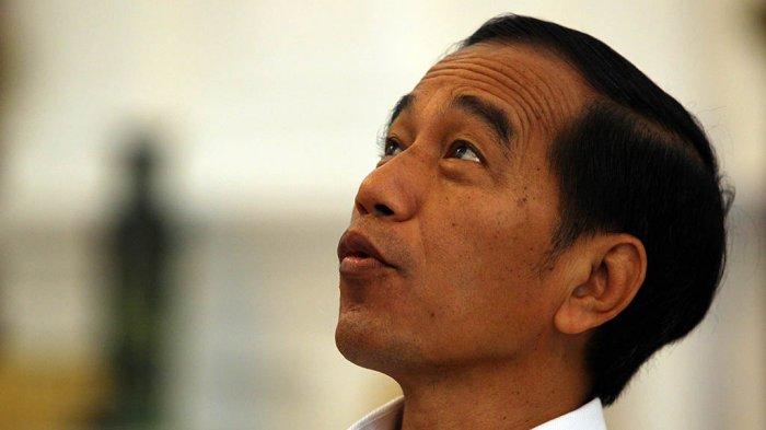 Jokowi Tantang OCCRP Buktikan Tuduhan, OCCRP Merilis Finalis Pemimpin ...