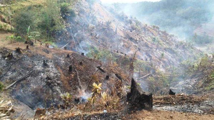 BPBD Cilacap Pastikan Kebakaran Hutan Milik Perhutani Tak Berdampak Kepada Masyarakat ...