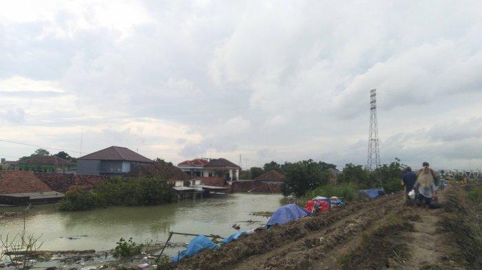 Perbaikan Tanggul Jebol di Sungai Wulan Demak, Ditarget Selesai Besok - Tribunjateng.com