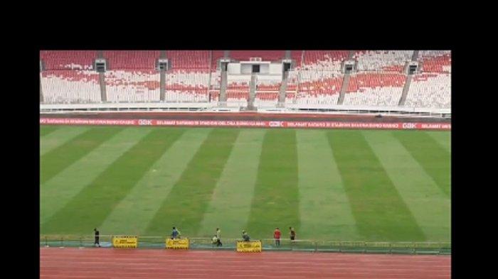 Kondisi Terkini Rumput Stadion Utama Gelora Bung Karno jelang Laga ...