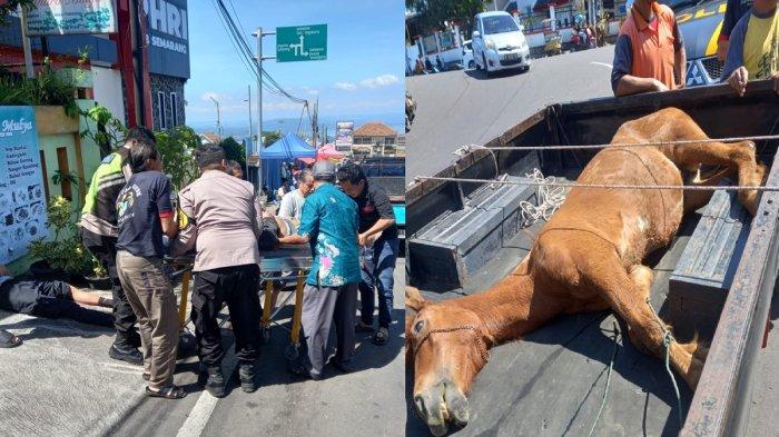 Video Kecelakaan di Bandungan Kuda Wisata Tewas Ditabrak, Pemotor ...