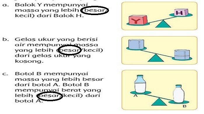 Kunci Jawaban Kelas 3 SD Tema 3 Subtema 2 Halaman 72-83 Membandingkan ...