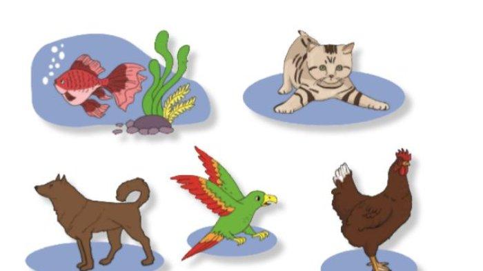 Kunci Jawaban Kelas 3 SD Tema 4 Subtema 3 Halaman 125 127 129 Tata Cara ...