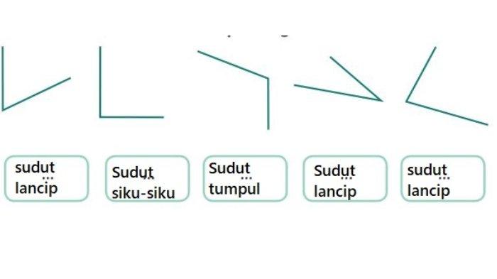 Kunci Jawaban Kelas 3 SD Tema 8 Subtema 1 Halaman 28 35 43 51 ...
