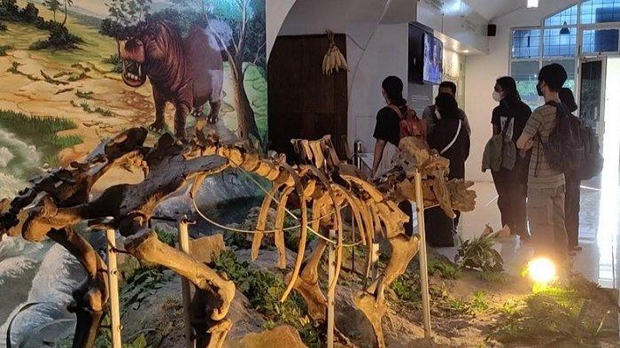 Memahami Kehidupan Manusia Purba dari Museum Sangiran, Ada Homo Erectus ...