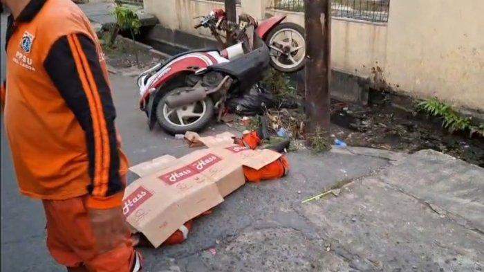 Petugas PPSU Tewas Kecelakaan saat Berangkat Kerja, Motor Tabrak Tiang Listrik - Tribunjateng.com