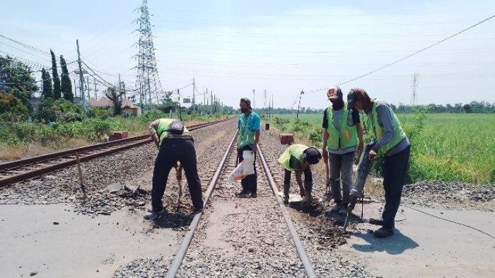 KAI Daop 4 Semarang Lakukan Perbaikan Jalur di Sembilan Titik Perlintasan Sebidang di Pekalongan ...