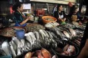 Tujuh Pabrik Surimi Diminta Diversifikasi Bahan Baku, Ini Alasannya ...