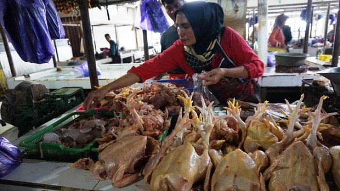 Jelang Lebaran, Harga Daging Ayam dan Sapi di Batang Mulai Naik - Tribunjateng.com