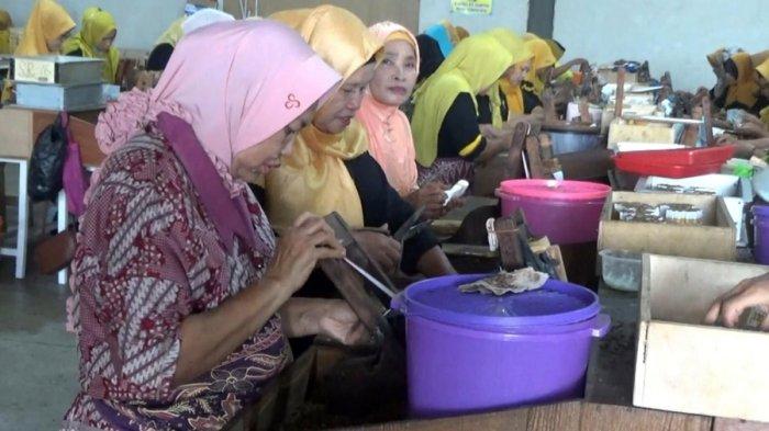 Keberadaan KIHT dan SIHT Untuk Menunjang Perkembangan Bisnis Rokok di Kudus - Tribunjateng.com