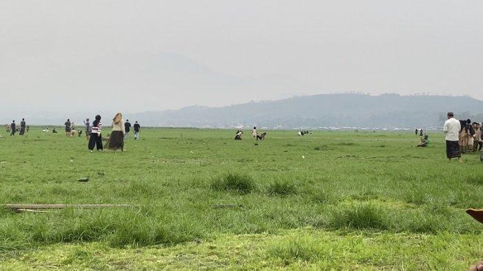 23 Menit dari Bandungan, Nikmati Indahnya Sabana Rawa Pening, Dulu ...