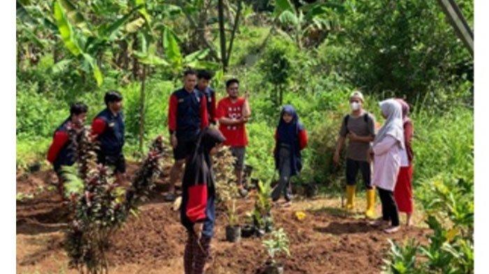 Pembuatan Taman HITOSA di Kelurahan Wonolopo RT 06 RW 06 bersama Ibu ...