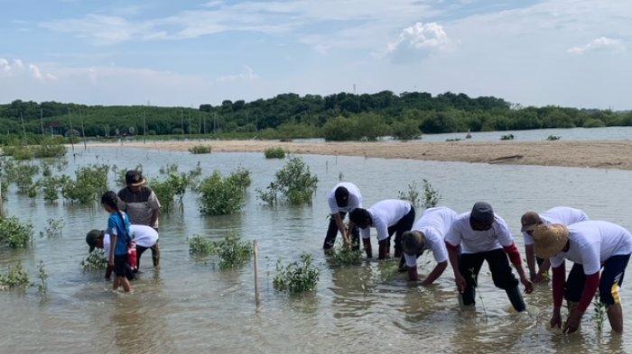 Video Pemprov Jateng Kerjasama PLN Manfaatkan FABA di Pantura Cegah Abrasi - Tribunjateng.com