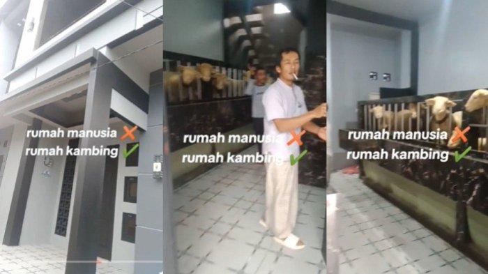 Viral Penampakan Rumah Mewah untuk Kandang Domba, Ternyata di ...