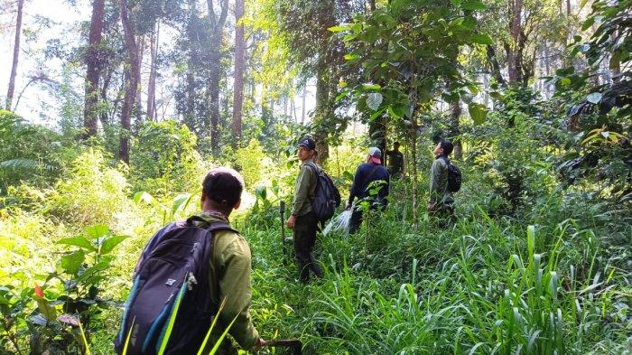 Apa itu Simaksi? Ini 5 Kegiatan di Kawasan Konservasi yang Perlu ...