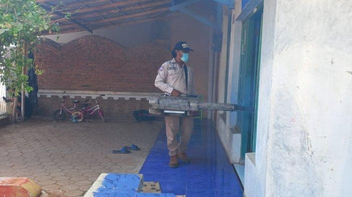 Waspada DBD di Musim Hujan, Dinkes Batang Imbau Masyarakat Rajin Pemberantasan Sarang Nyamuk ...