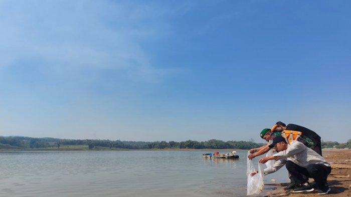 25 Ribu Benih Ikan Nila Ditebar di Waduk Delingan Karanganyar Guna Jaga ...