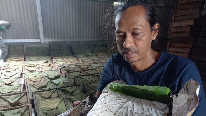 Kisah Inspiratif : Jatuh Bangun Pitono Rintis Usaha Tempe, Kini Sukses ...