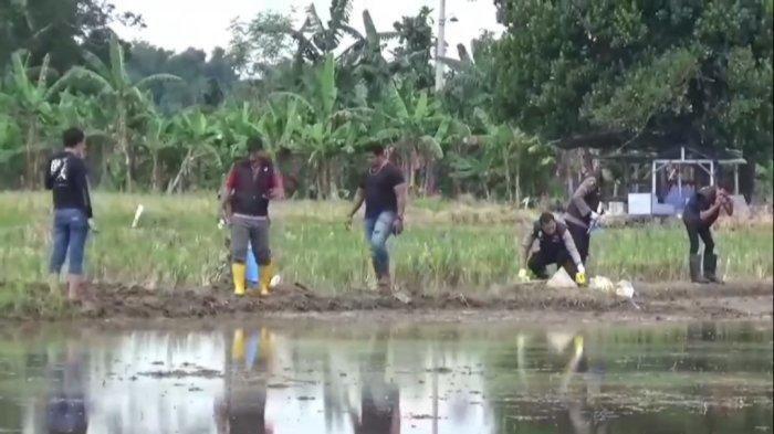 Berikut Ini Kronologi Lengkap Duel Maut Paman vs Keponakan di Sawah, Korban Luka Tusuk di Mata ...