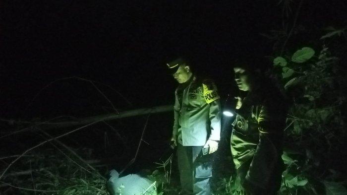 Mayat Pria Ditemukan di Perkebunan Desa Jatisaba Cilongok Banyumas ...