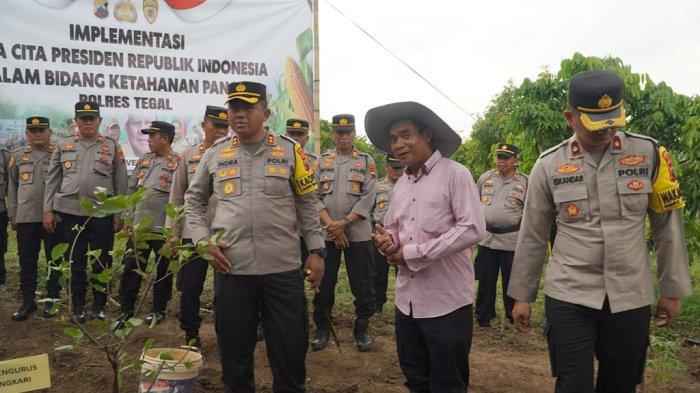 Polres Tegal Sulap Lahan Tak Terpakai Jadi Ikon Ketahanan Pangan Desa ...