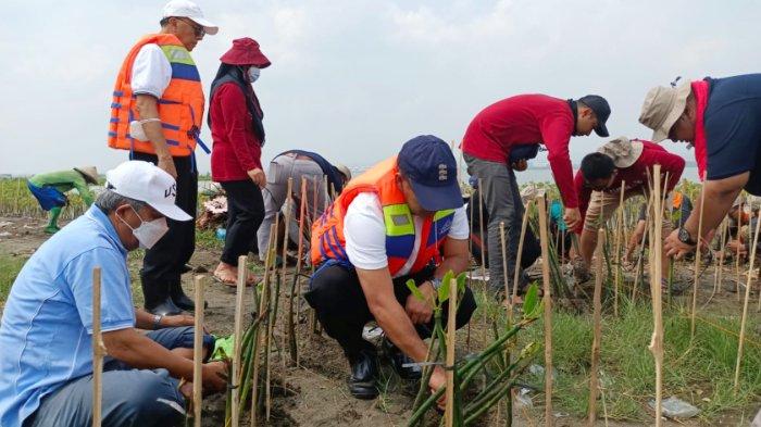 S1 Pariwisata Gelar Penamaman Mangrove, Prof Sudharto : Ini Kesempatan ...