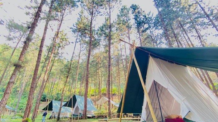 Ada Hidden Gem di Tegal Bernama Rumah Angsa Glamping, Suguhkan Suasana ...