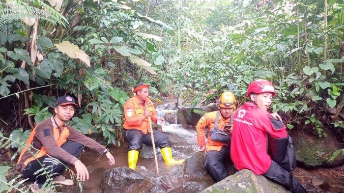 Nenek Rasmi Hilang Di Kebun Teh Talun Pekalongan - Tribunjateng.com