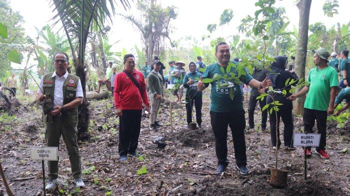 Pemkab Blora Luncurkan Sedekah Pohon, Bupati Arief : Menanamkan ...