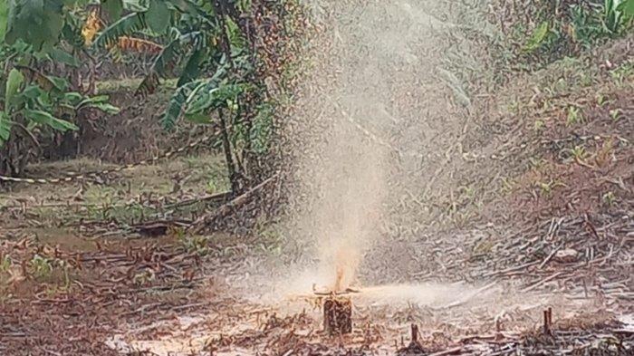Semburan Lumpur Bercampur Gas di Blora, BPBD Meninjau ke Lokasi Dua ...