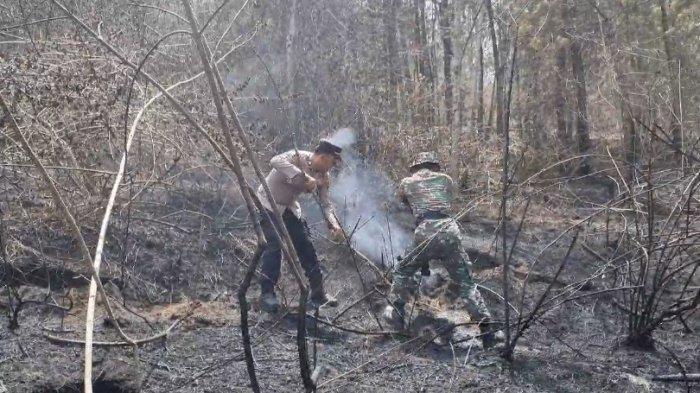 Polisi Temukan Bara Api di Gunung Merbabu, bakar Semak dan Akar Pinus ...