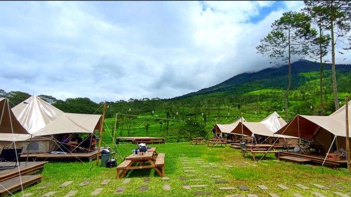 WISATA WONOSOBO : Sensasi Bermalam di Sikembang Glamping Wonosobo, Tawarkan Paket Camping Kebun ...