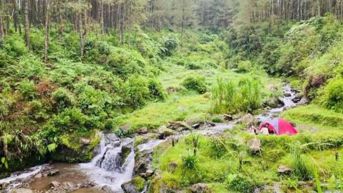 Ada Paket Breakfast The Jungle Buat Tamu, Bisa Hiking ke Curug Cawan ...