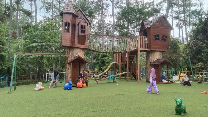 Kemit Forest Education Wisata Alam Cilacap yang Diburu Pelancong Saat ...