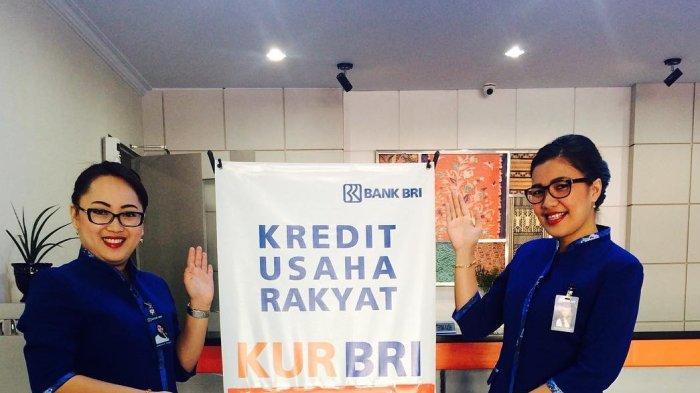 Brosur KUR BRI 2024 Tabel Angsuran per 24 Juni Lengkap hingga Rp 500 Juta - Tribunjateng.com