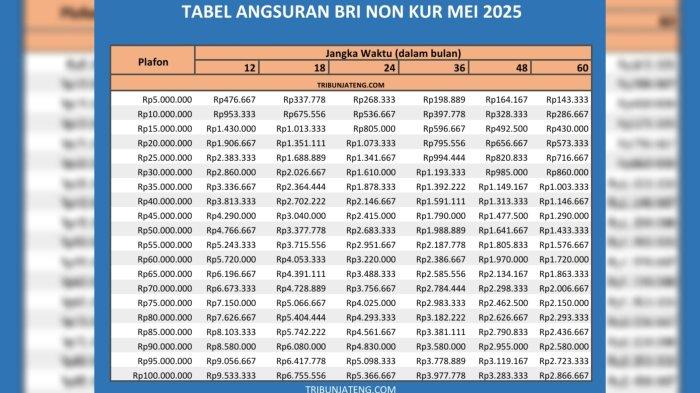 Cek Brosur Angsuran Pinjaman BRI Non KUR Mei 2025, Mulai Rp 1 Juta, Rp 30 Juta Sampai Rp 500 ...