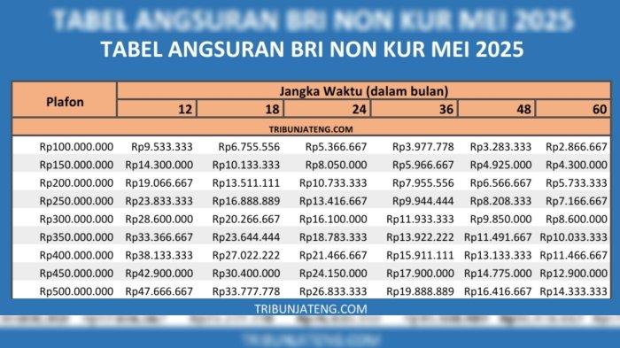 Tabel Angsuran BRI Non KUR 2025, Pinjam Rp 80 Juta Cicilan Terendah Rp 2,3 Juta - Tribunjateng.com