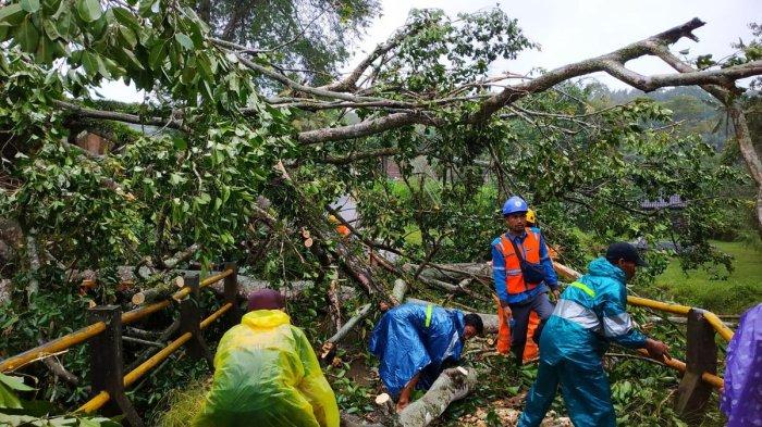 Pengendara Motor Tewas Tertimpa Tiang Listrik - Tribunjateng.com
